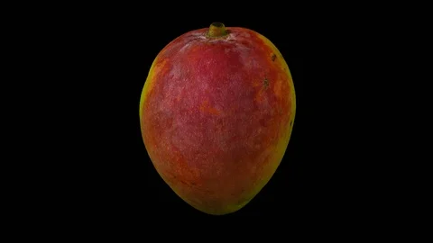 Rotating Mango on Transparent Background... | Stock Video | Pond5