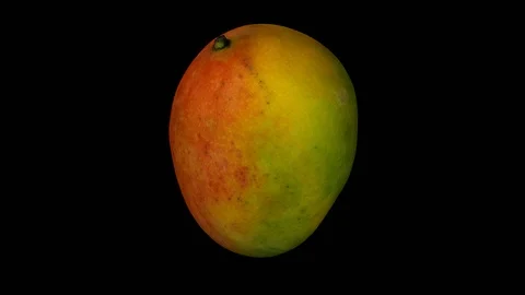 Rotating Mango on Transparent Background... | Stock Video | Pond5