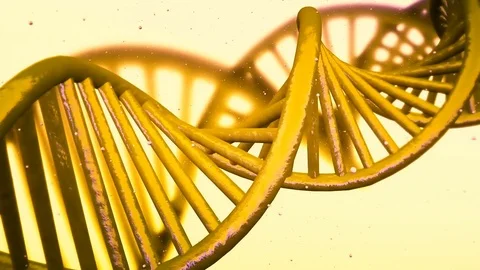 Rotating model of DNA strands. Loopable ... | Stock Video | Pond5