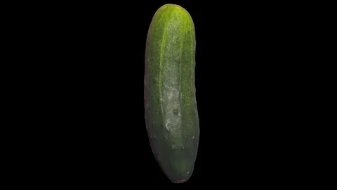 Rotating Pickle / Cucumber Loop ALPHA | Stock Video | Pond5