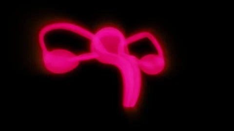 Rotating pink hologram of the Female Ute... | Stock Video | Pond5