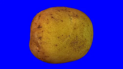 Rotating Potato on Blue Background | Stock Video | Pond5