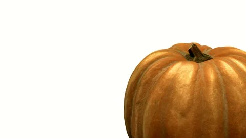 rotating pumpkin on white background wit... | Stock Video | Pond5