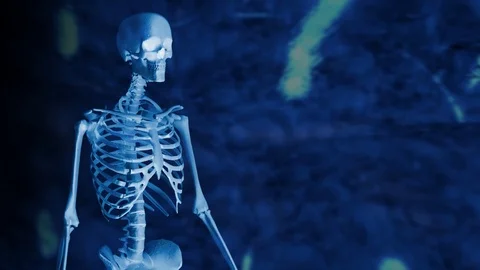 3D Rotate Skeleton Stock Footage ~ Royalty Free Stock Videos | Pond5