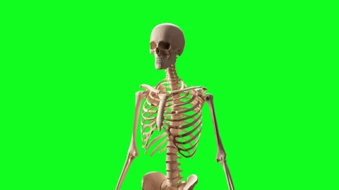 rotating skeleton render 3D on a green ... | Stock Video | Pond5