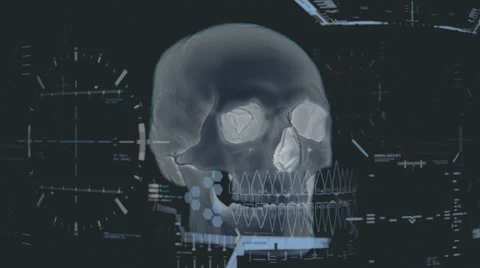 rotating skull scan with holografic visu... | Stock Video | Pond5