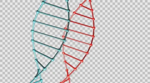 The rotation of the DNA formula on a tra... | Stock Video | Pond5