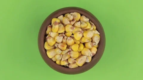 Rotation of the grain of maize in a pot ... | Stock Video | Pond5