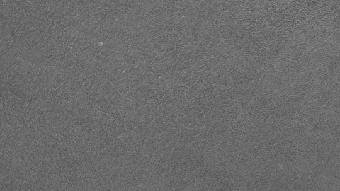 Natural Skin Texture Stock Videos – Royalty-Free HD & 4K Videos