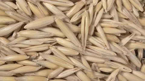 Crop Rotation Stock Video Footage | Royalty Free Crop Rotation Videos ...