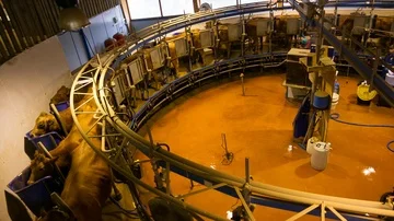 Lactorium Stock Video Footage | Royalty Free Lactorium Videos | Pond5