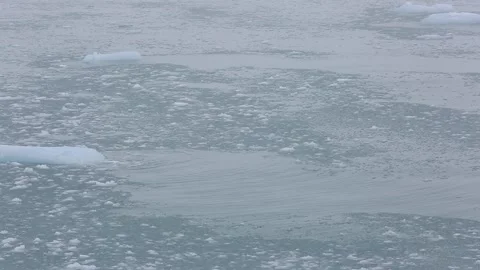 Rotten sea ice at over 80 degrees North ... | Stock Video | Pond5