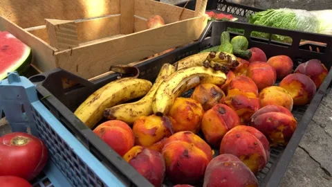 Rotten spoiled fruits and vegetables uti... | Stock Video | Pond5