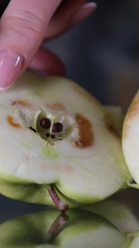 Spoil Stock Video Footage | Royalty Free Spoil Videos | Page 8