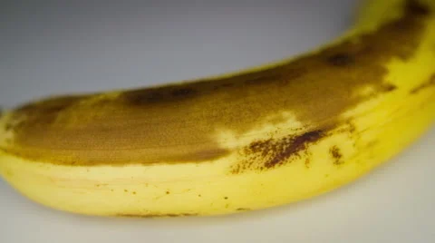 Rotting Timelapse Stock Video Footage | Royalty Free Rotting Timelapse ...