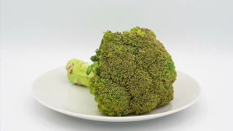 Rotting broccoli time-lapse. 40 days in ... | Stock Video | Pond5