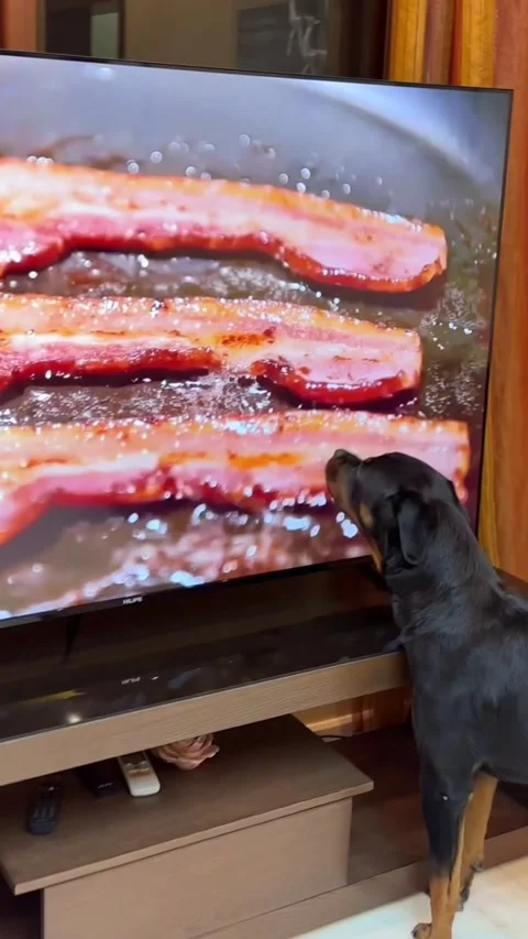 Lick The Screen Stock Videos – Royalty-Free HD & 4K Videos