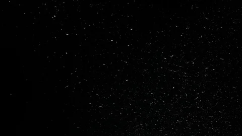 Element Stock Video Footage | Royalty Free Element Videos | Pond5