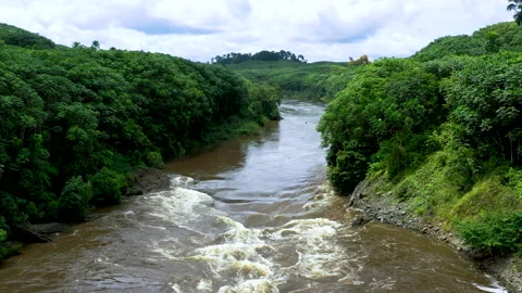 Rough equatorial river in the rainforest... | Stock Video | Pond5