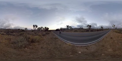 Route 66 Desert Nature Joshua Tree USA 3... | Stock Video | Pond5