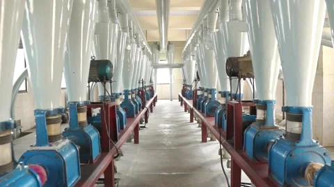 Row Of Flour Stock Videos – Royalty-Free HD & 4K Videos | Pond5