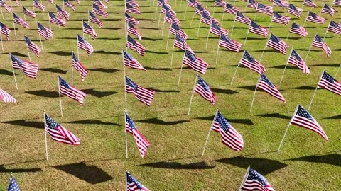 Rows of American flags blowing in the wi... | Stock Video | Pond5