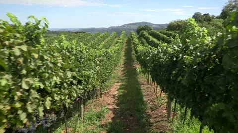 Stock Footage by Calilusbricolage | Official Pond5 Storefront