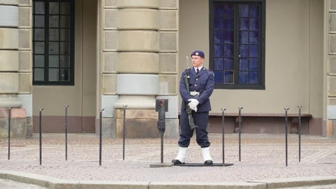 A royal guard standing infront of the pa... | Stock Video | Pond5