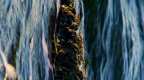 Wave Video Free Stock Videos – Royalty-Free HD & 4K Videos