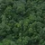 Aerial Top View of Amazon rainforest and... | Stock Video | Pond5
