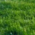 Isolated meadow on blue screen,grass bac... | Stock Video | Pond5