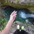 Winter ice hole swimming woman dipping i... | Stock Video | Pond5