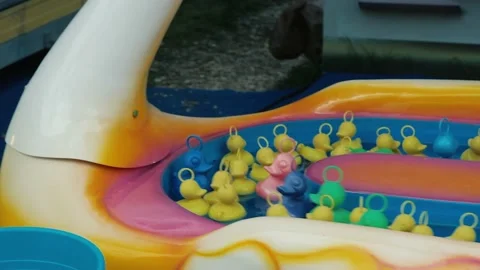 Funfair Duck Stock Video Footage | Royalty Free Funfair Duck Videos | Pond5