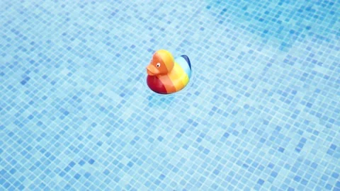 Rubber Duck] Stock Videos – Royalty-Free HD & 4K Videos | Page 5