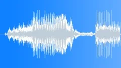 Squeeze Duck Sound Effects ~ Squeeze Duck Sounds | Pond5