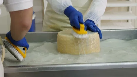 rubbing and washing cheese forms - Diary... | Stock Video | Pond5