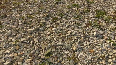 Rubble On Ground Stock Video Footage | Royalty Free Rubble On Ground ...