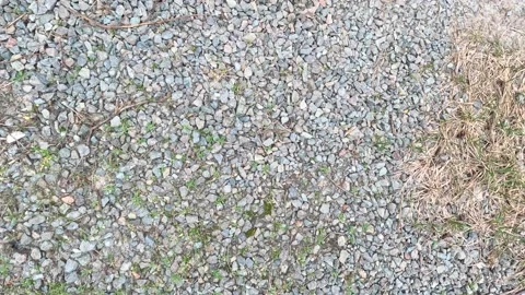 Rubbles On Road Stock Videos – Royalty-Free HD & 4K Videos