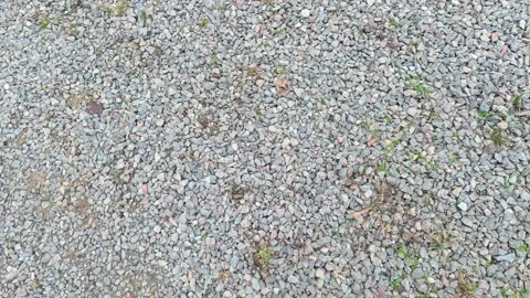 Pebbles Texture Stock Video Footage | Royalty Free Pebbles Texture ...