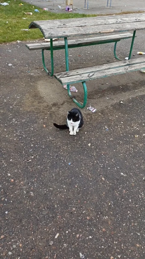 The Sadness 2025 Stock Videos – Royalty-Free HD & 4K Videos | Pond5