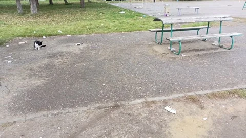 The Sadness 2025 Stock Videos – Royalty-Free HD & 4K Videos | Pond5