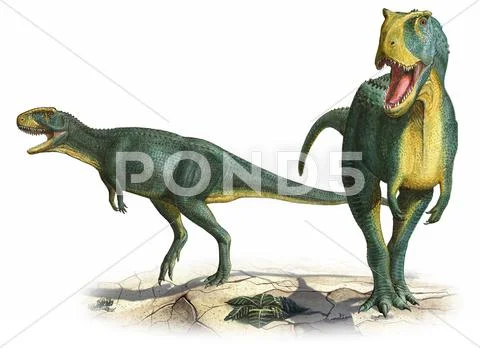 Rugops primus, a prehistoric era dinosaur.: Graphic #65741869