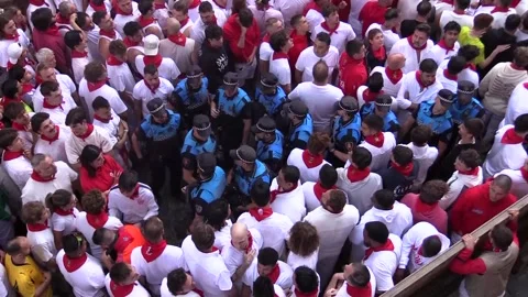 Bull Runner Stock Videos – Royalty-Free HD & 4K Videos