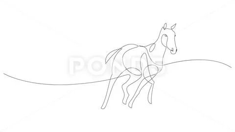 Horse Running Drawing FINGERINSPIRE Horse Stencil 29.7x21cm Horse