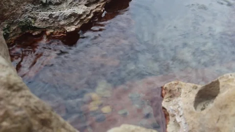 Baba Vanga Stock Footage ~ Royalty Free Stock Videos | Pond5