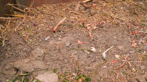 Rural compost close up. Recycling organi... | Stock Video | Pond5