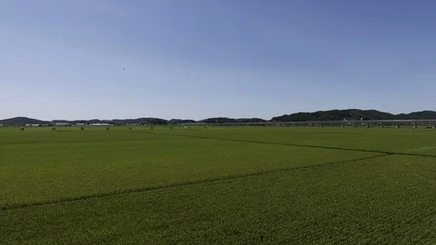 Rural landscape of rice farming area of ... | Stock Video | Pond5