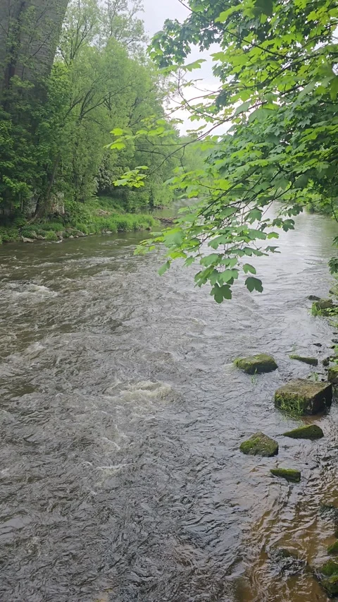 Stream River Rushing Stock Videos – Royalty-Free HD & 4K Videos