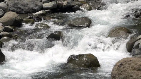 Stream River Rushing Stock Video Footage | Royalty Free Stream River ...