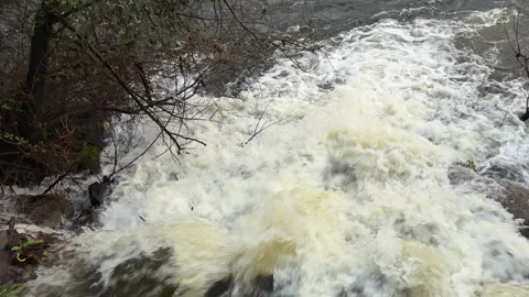 Stream River Rushing Stock Video Footage | Royalty Free Stream River ...